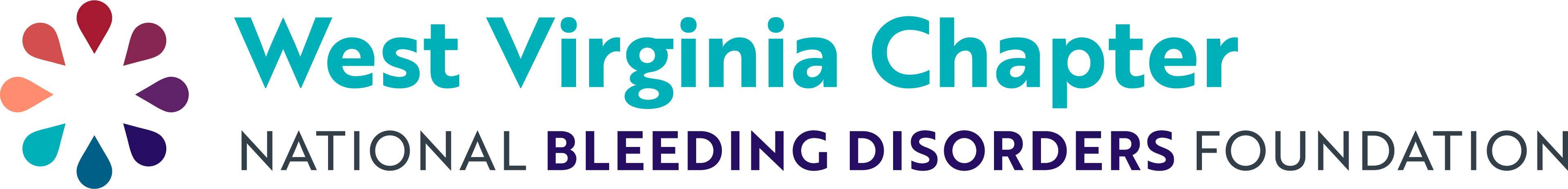 West Virginia Chapter, National Bleeding Disorders Foundation | NBDF